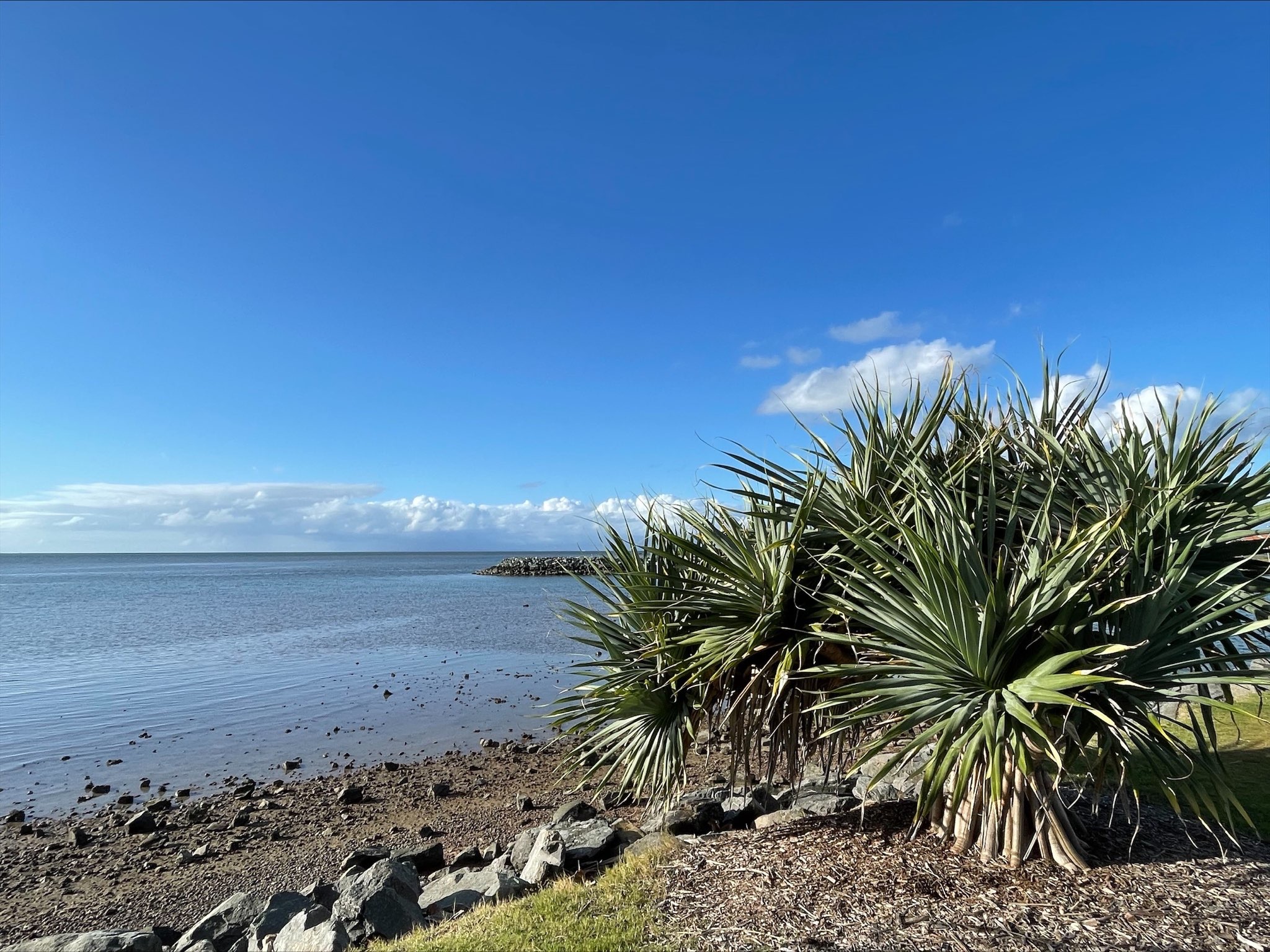 Death - Zen Buddhism and the End of Life